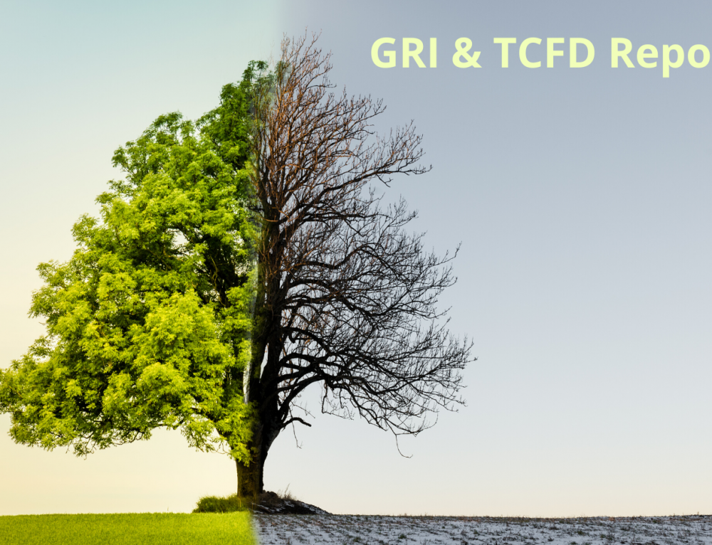 What Is GRI Standard And Why Should We Use GRI Standard As A Framework ...