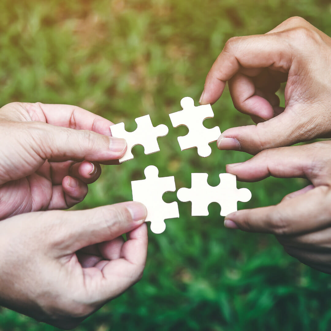 Stakeholder Engagement Services - GreenCo ESG In Singapore