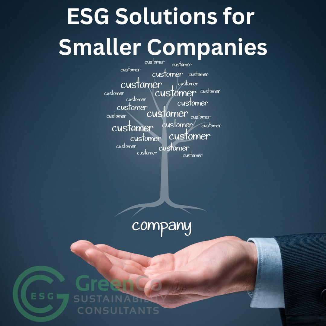 ESG Solutions For Small And Medium Sized Comapnies